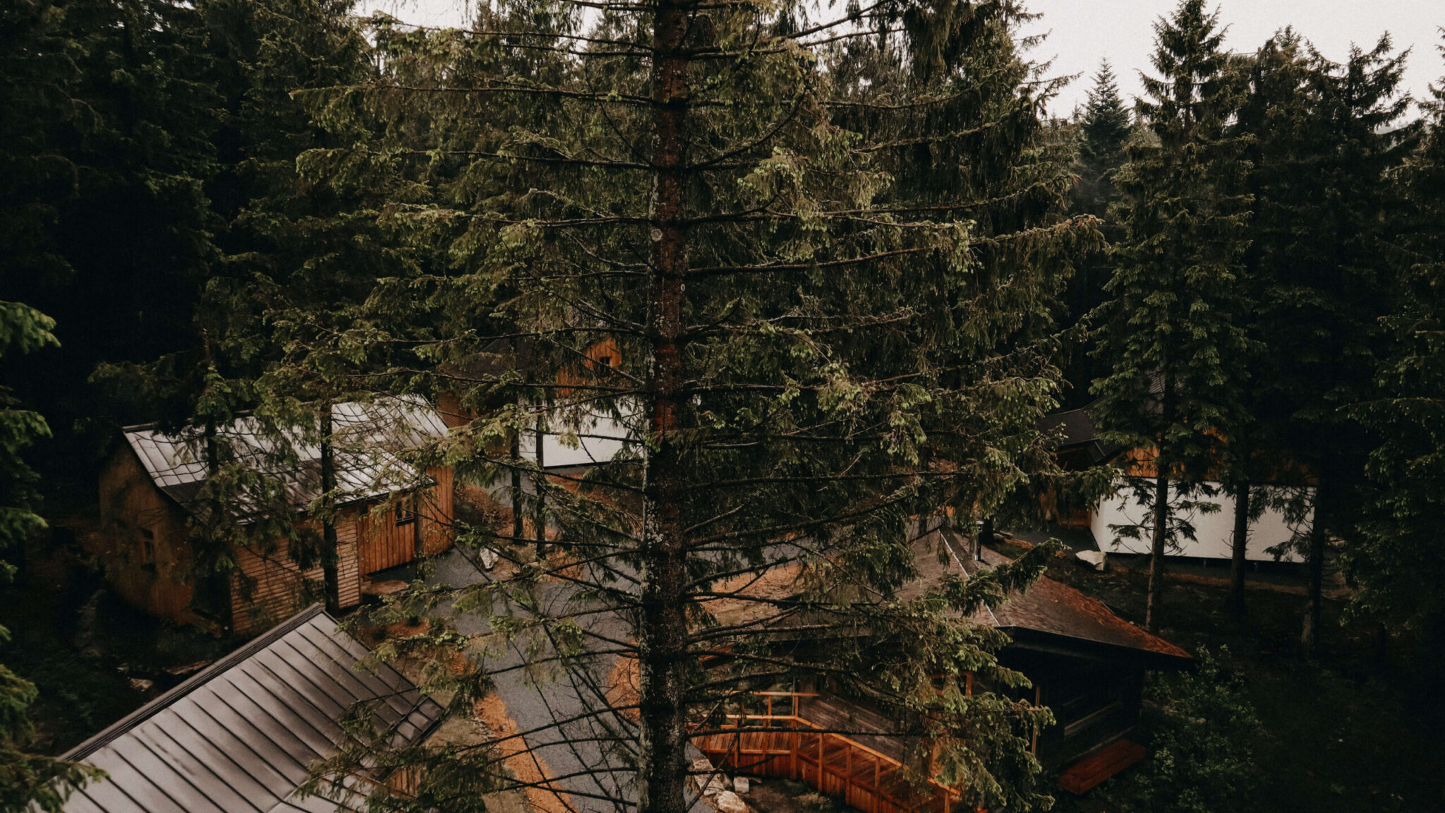 Ramenai - pure Entschleunigung mitten im Böhmerwald